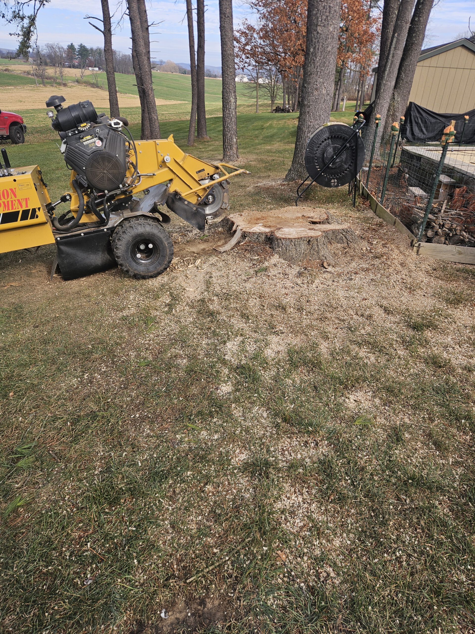 Professional Tree Services in PA by Max's Pro Tree Service