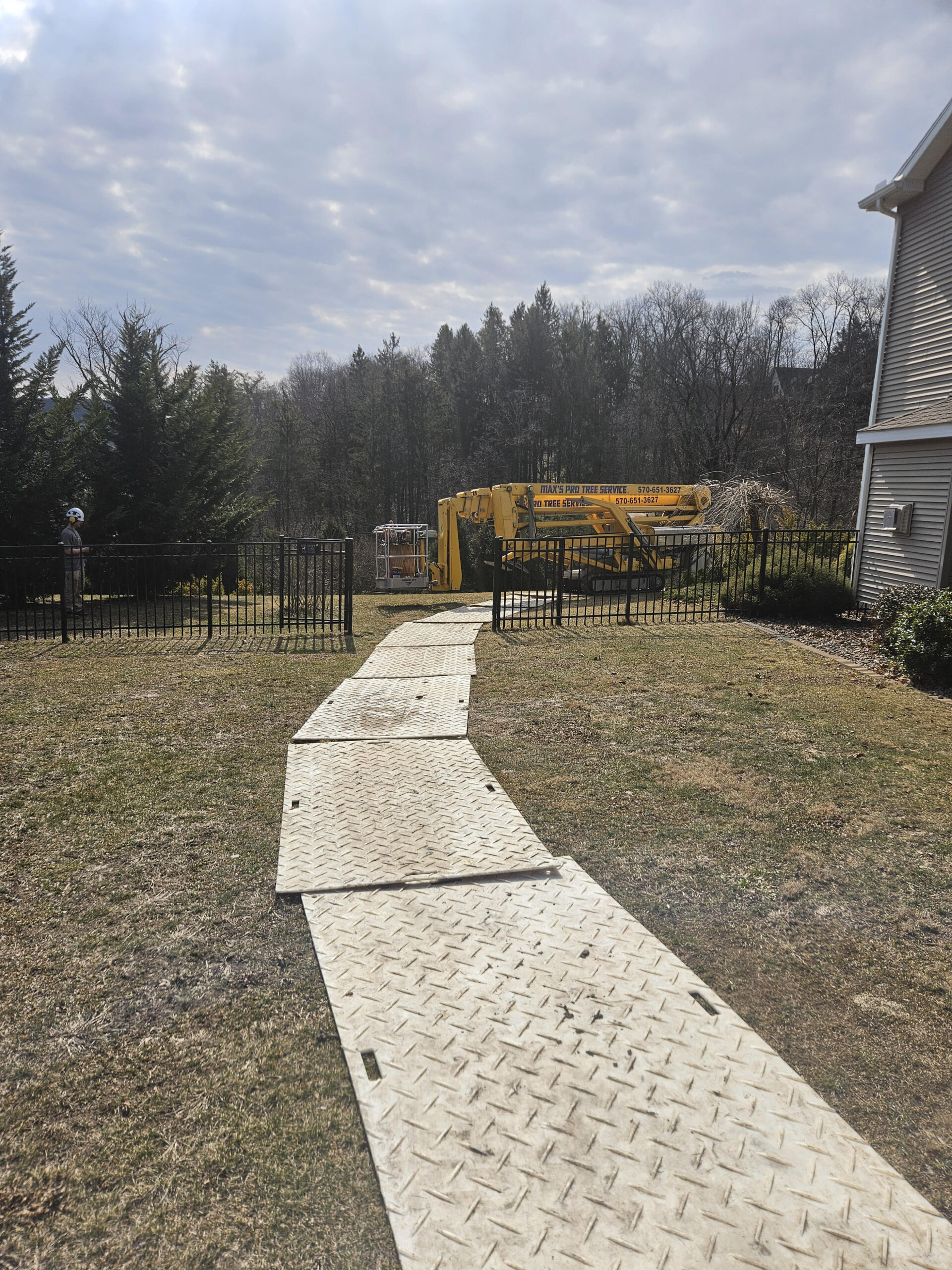 Professional Tree Services in PA by Max's Pro Tree Service
